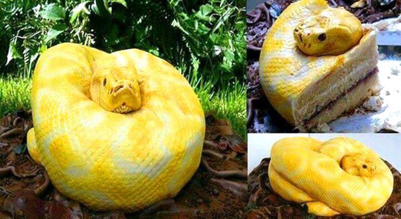 18+ Extreme Cake Designs You Won't Believe Are Edible | fascinately